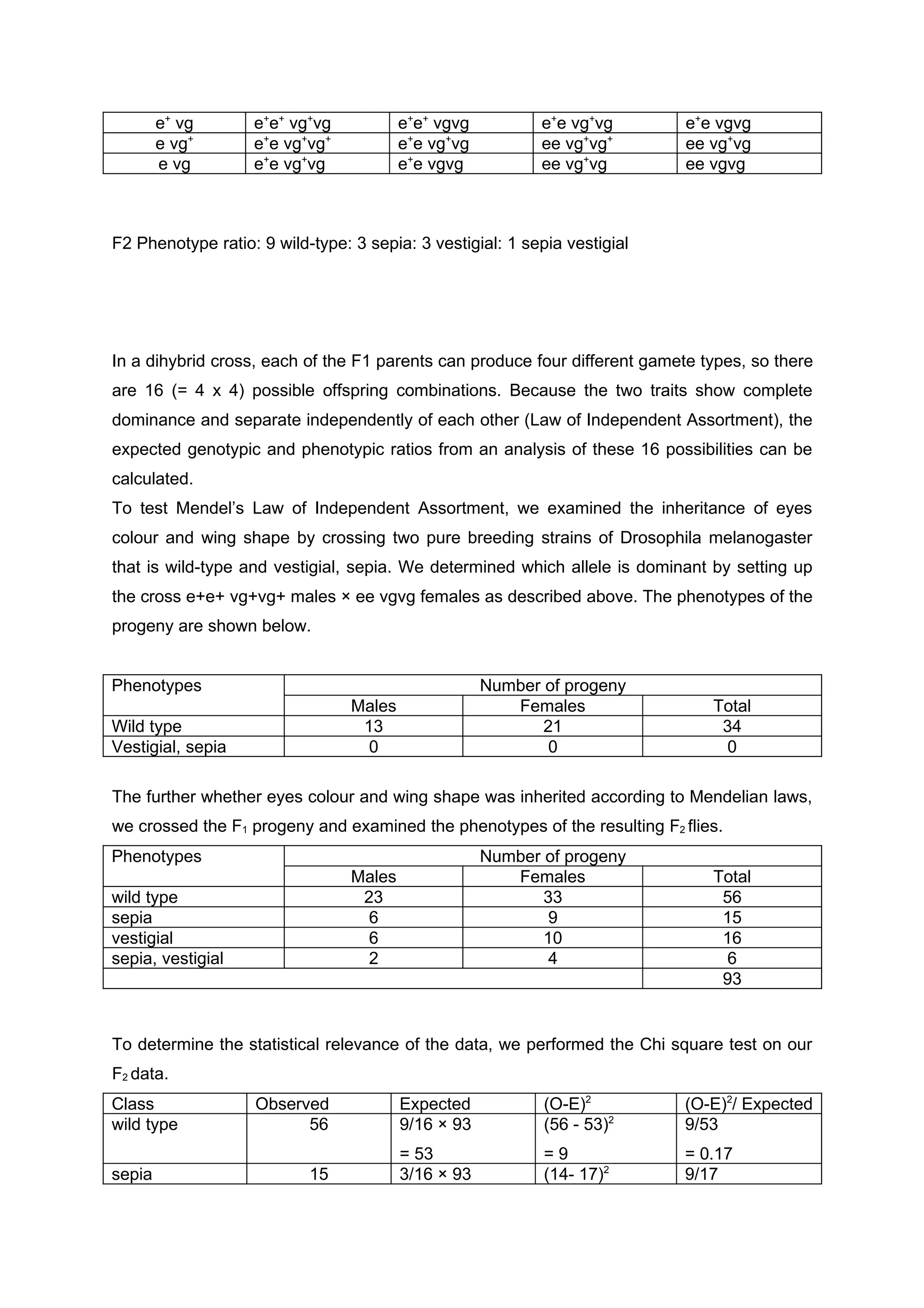 LAB REPORT DROSOPHILA MELANOGASTER | DOC