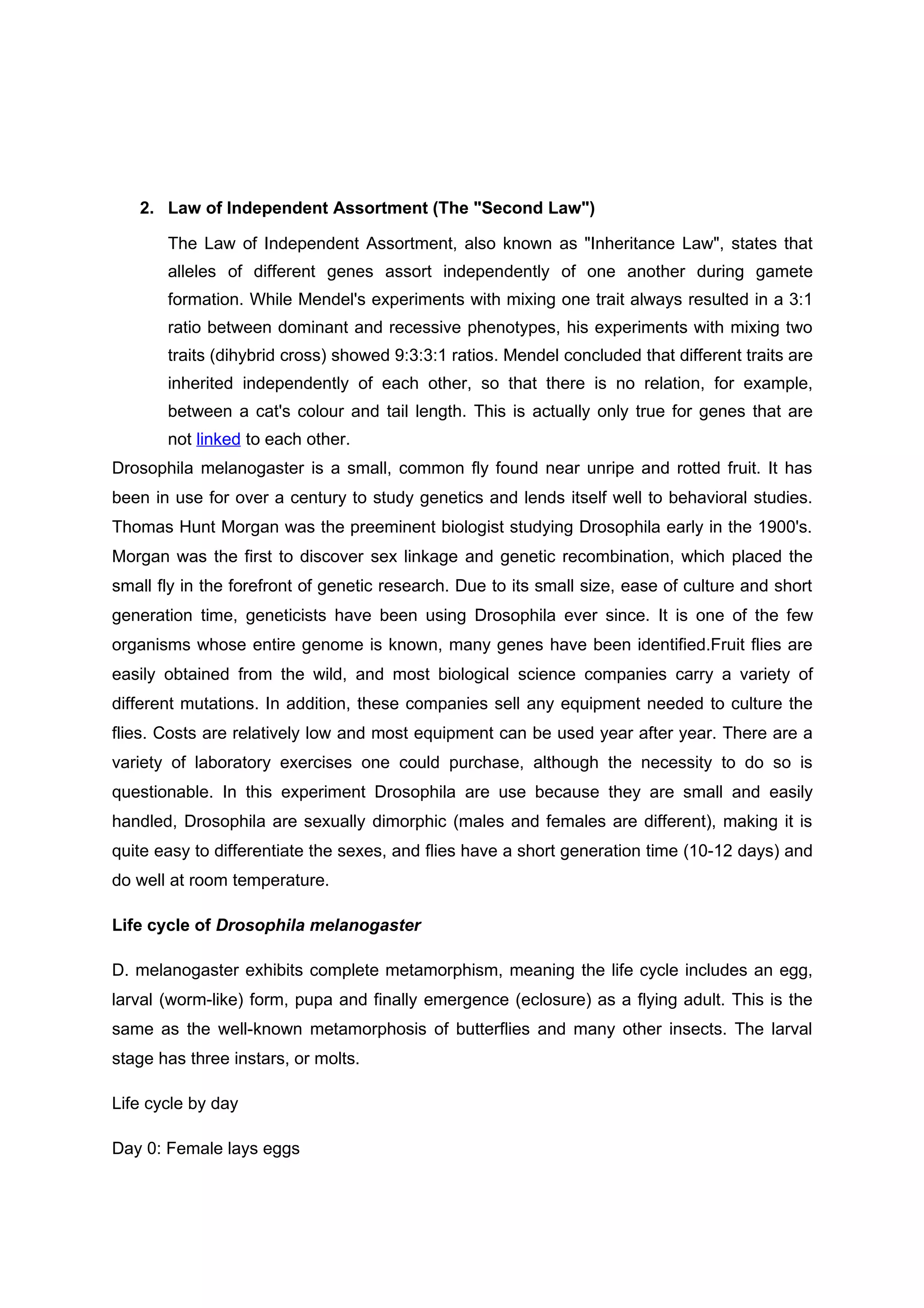 LAB REPORT DROSOPHILA MELANOGASTER | DOC