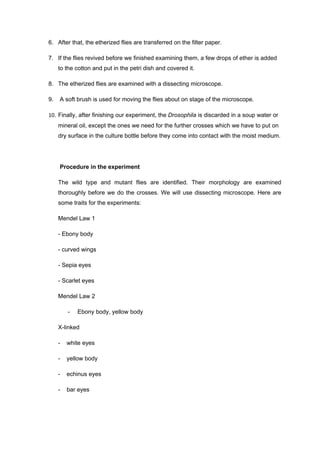 LAB REPORT DROSOPHILA MELANOGASTER | DOC