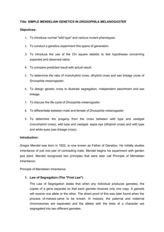 LAB REPORT DROSOPHILA MELANOGASTER | DOC