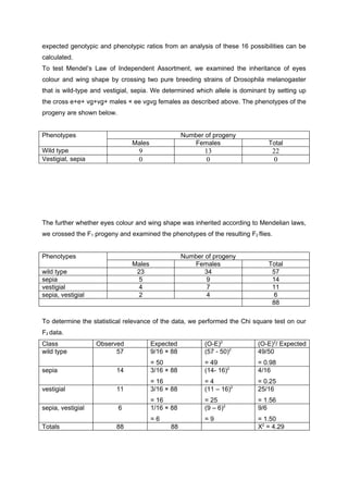 LAB REPORT DROSOPHILA MELANOGASTER | DOC