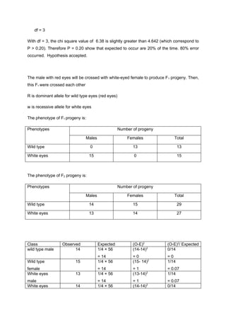 LAB REPORT DROSOPHILA MELANOGASTER | DOC
