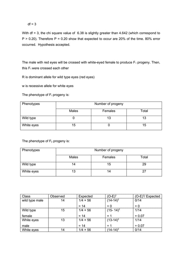 LAB REPORT DROSOPHILA MELANOGASTER | DOC