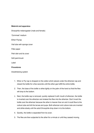 LAB REPORT DROSOPHILA MELANOGASTER | DOC