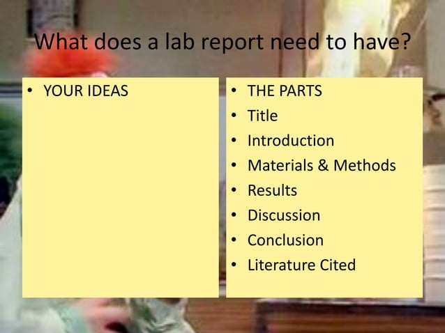 Writing a Lab Report | PPTX | Chemistry | Science