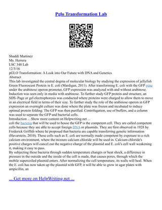 Pglo Transformation Lab