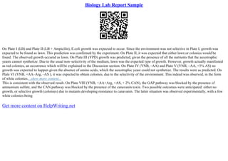 Lab Report Reflection | PDF