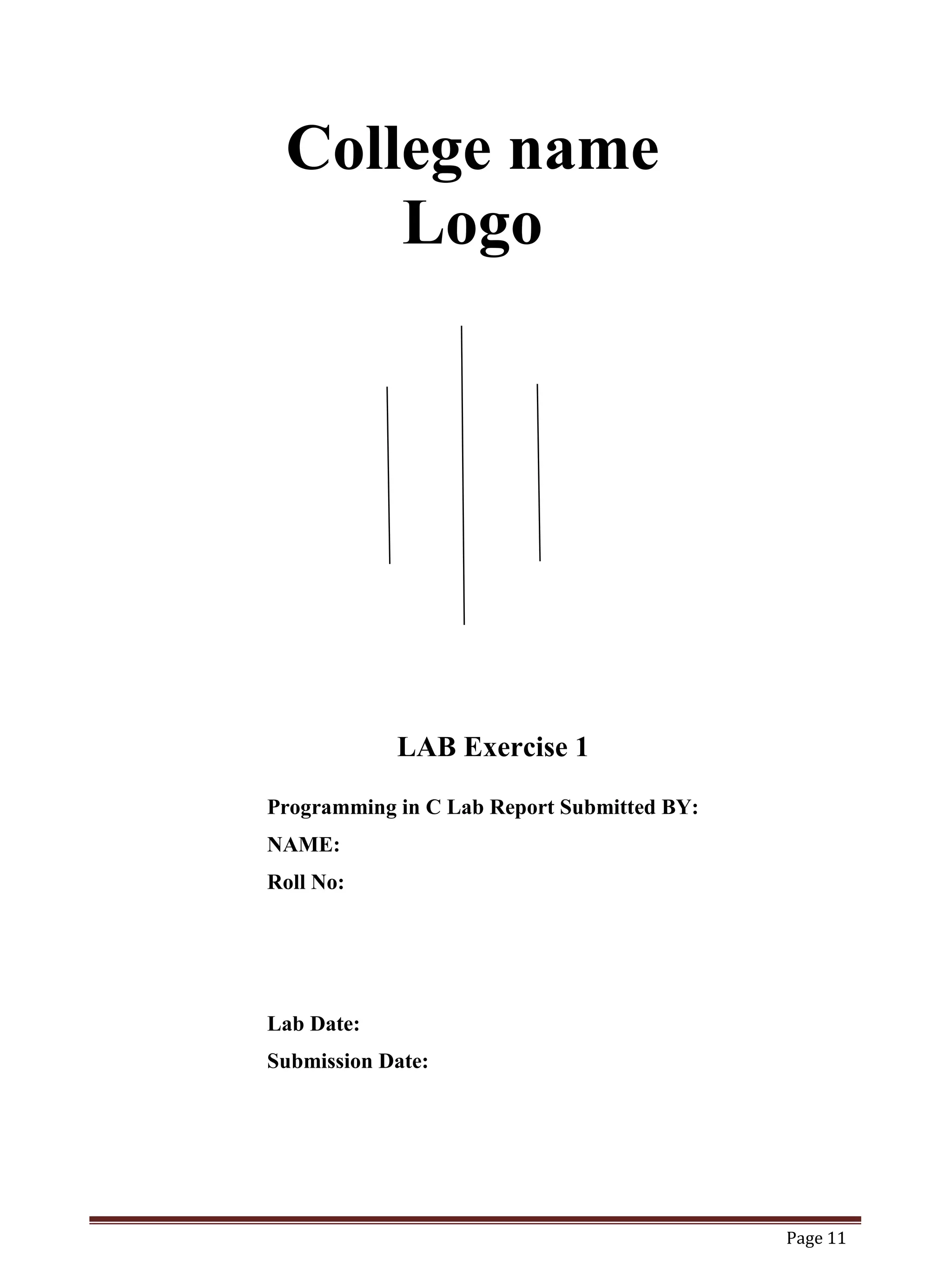 Lab Report sample of c programming.docx