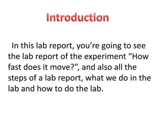 Lab report | PPT