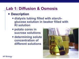 Lab review | PPT