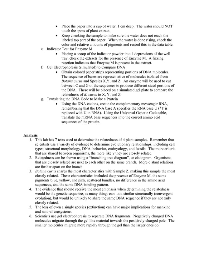 Biology - Part D Regents Review - Relationships and Biodiversity | DOC ...
