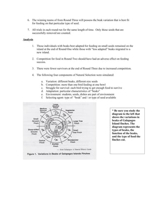 Biology - Part D Regents Review - Beaks of the Finches | DOC