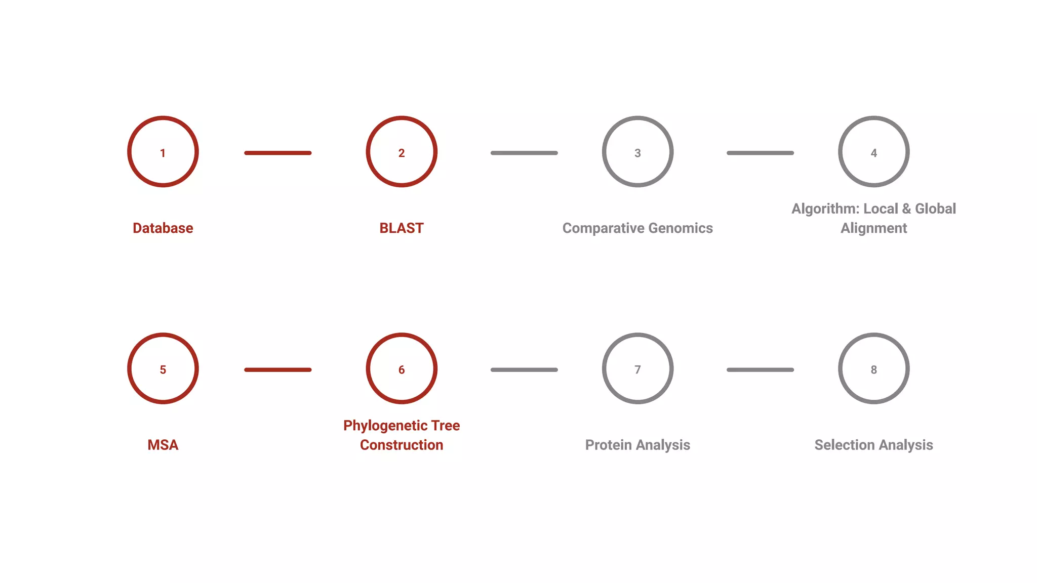 Review Class on Introduction to Bioinformatics | PDF