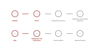 Review Class on Introduction to Bioinformatics | PPT
