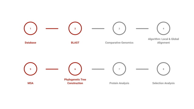 Review Class on Introduction to Bioinformatics | PPT