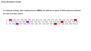 Review Class on Introduction to Bioinformatics | PPT