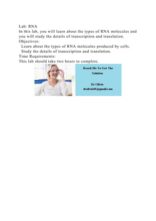 Lab RNAIn this lab, you will learn about the types of RNA molecul.docx