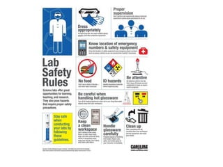 Lab Rules.pptx