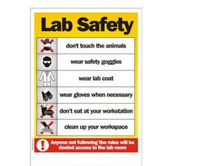 Lab Rules.pptx