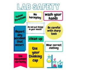 Lab Rules.pptx