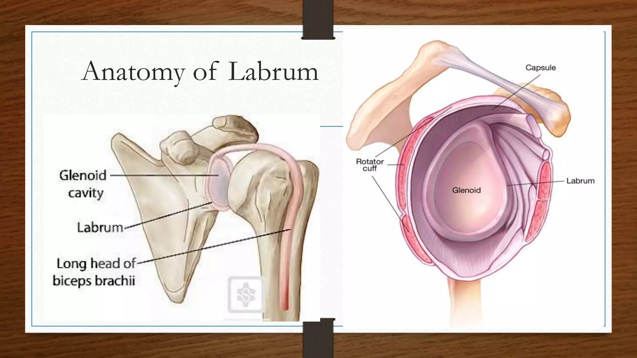 Special Test For Labrum Tear Pptx 4413