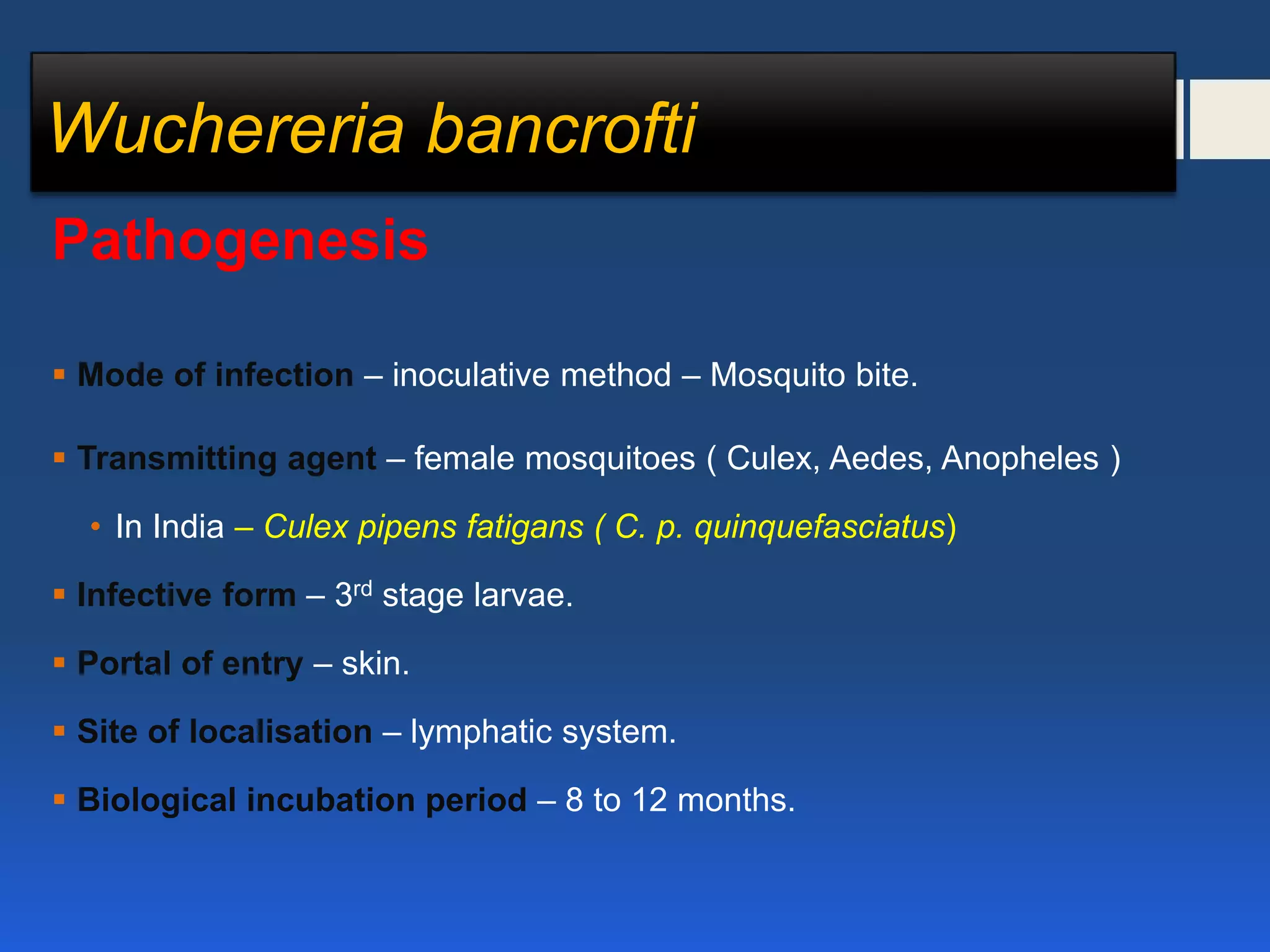 Wuchereria bancrofti - Filariasis | PPTX