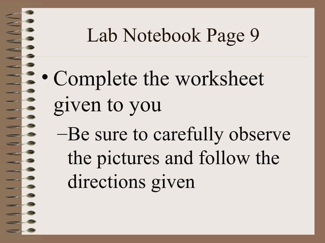 Lab Safety 2009 | PPT | Homework and Study | Education