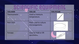 Lab Safety and Tools | PPTX | Chemistry | Science