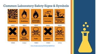 LAB SAFETY.pdf