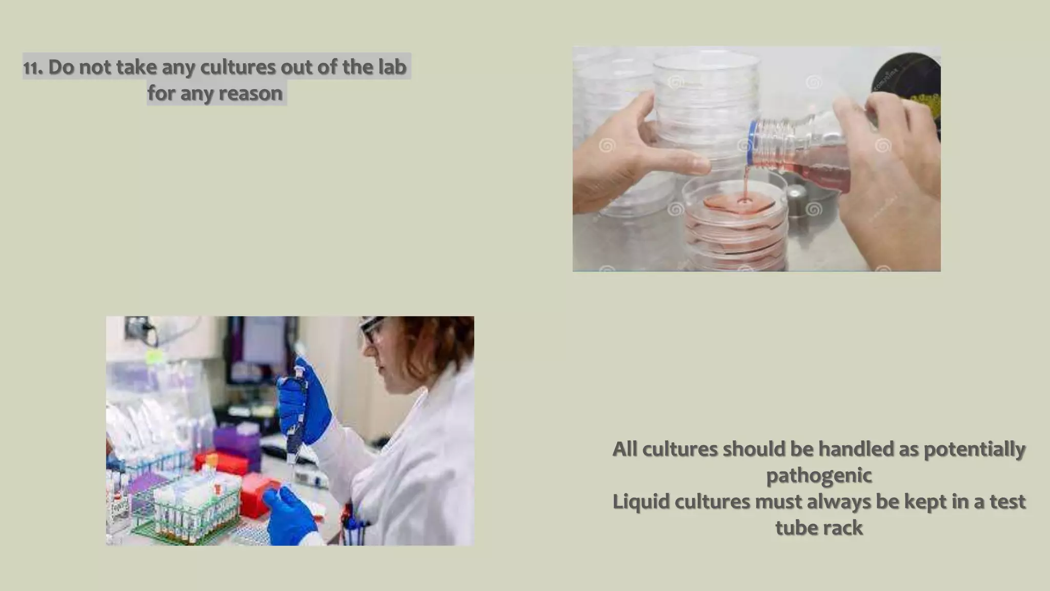 Lab Safety. | PPT