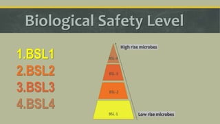 Lab Safety. | PPT