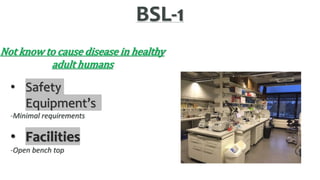 Lab Safety. | PPTX