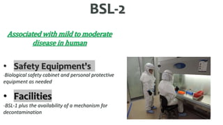 Lab Safety. | PPT