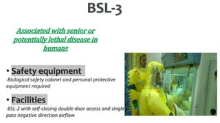 Lab Safety. | PPTX