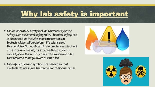 Lab Safety. | PPT