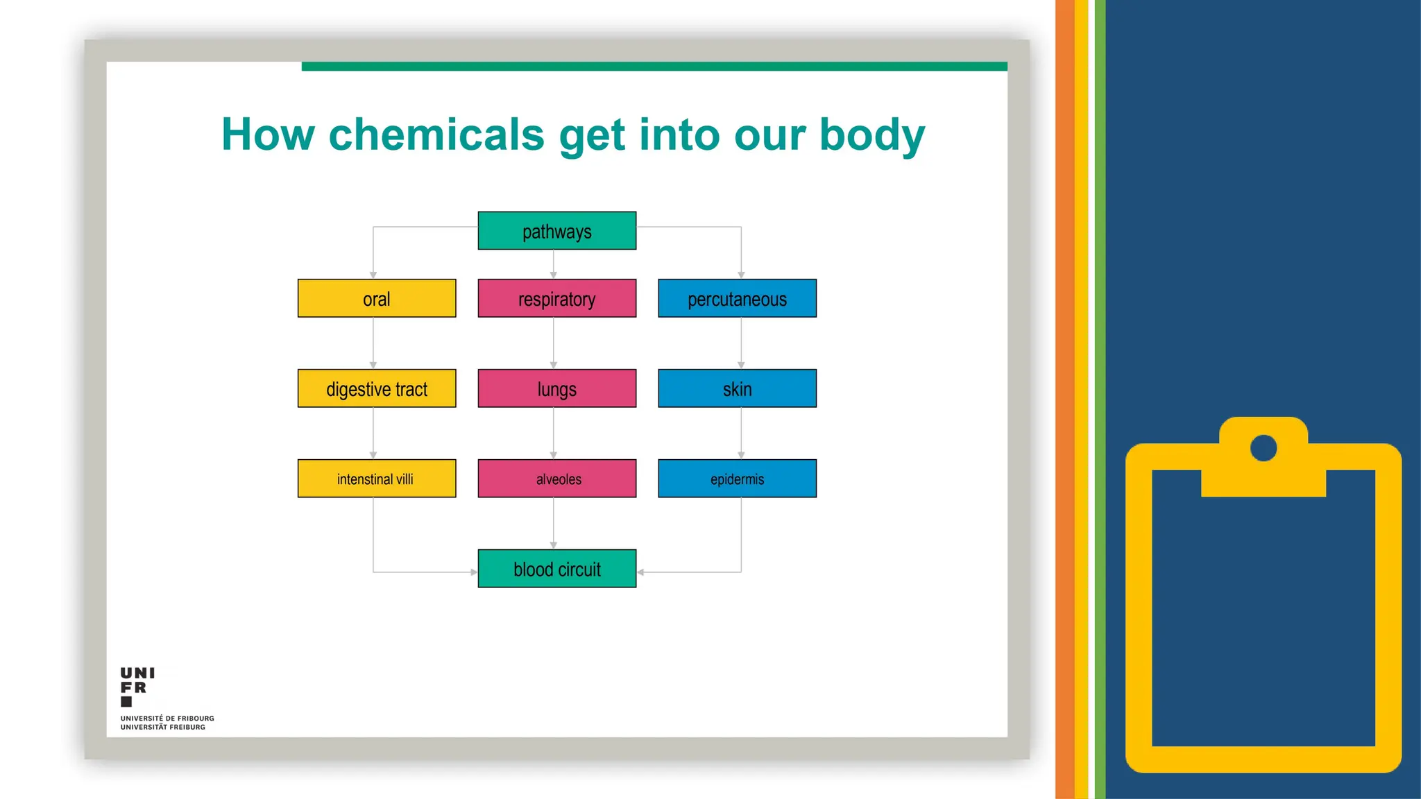 Lab safety general guide for lab specialist.pptx | Medical Health