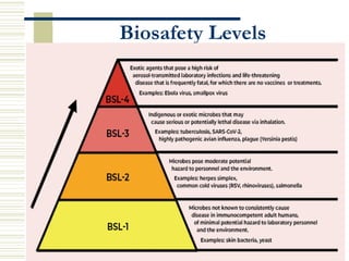 The Laboratory Safety Precautions and Guidelines.ppt