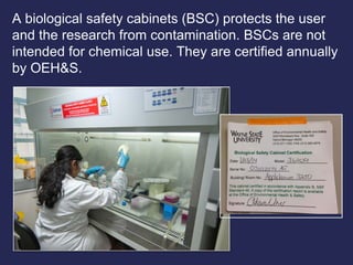 Wayne State University Laboratory Safety Training | PDF