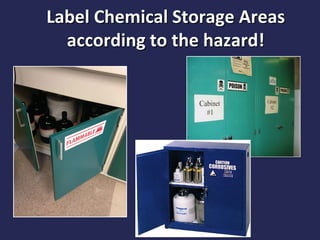 Wayne State University Laboratory Safety Training | PDF