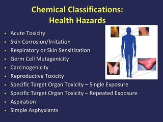 Wayne State University Laboratory Safety Training | PDF