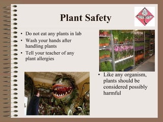 Lab safety good ppt | PPT