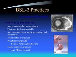 lab safety Lecture --- Three biosafety levels. | PDF