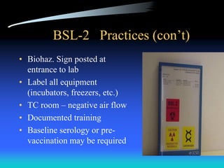 lab safety Lecture --- Three biosafety levels. | PDF