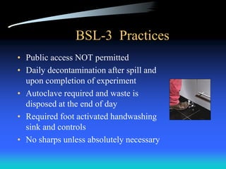 lab safety Lecture --- Three biosafety levels. | PDF