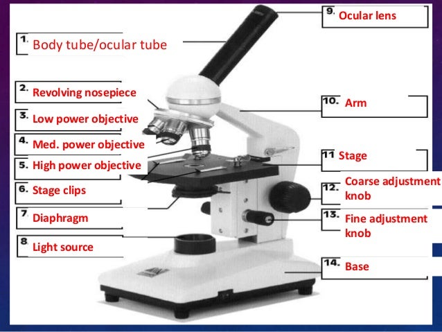 Lab safety & microscopes