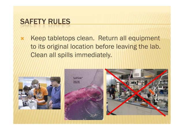 Laboratory Chemical Safety Guidelinespresentation Pdf