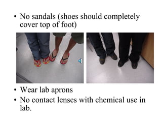Lab safety review notes avhs sy 14 15 | PPT
