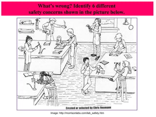 Lab safety review notes avhs sy 14 15 | PPT