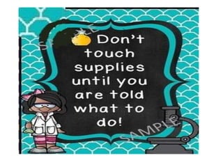 Lab safety rules | PPT