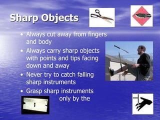 Lab+safety+rules+ppt | PPTX